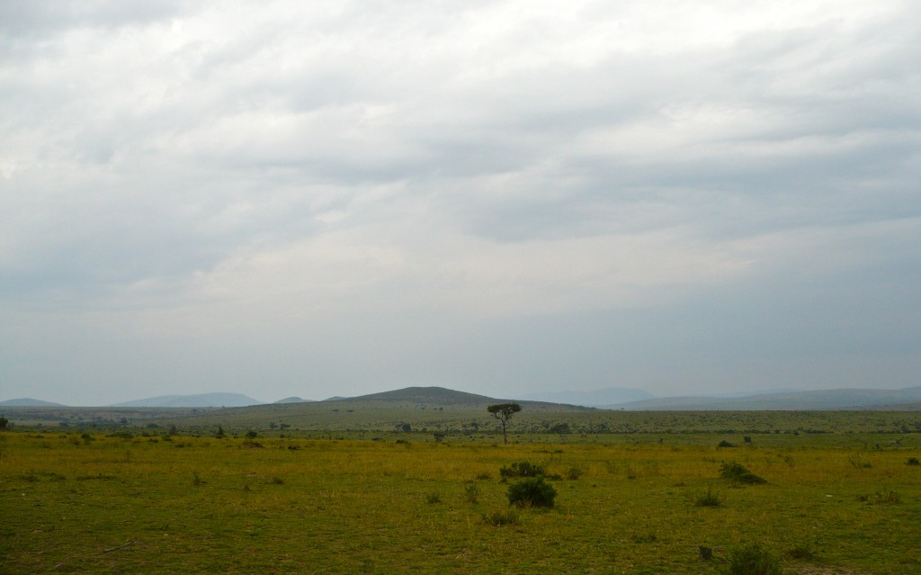 endless horizon – Michael Nassar