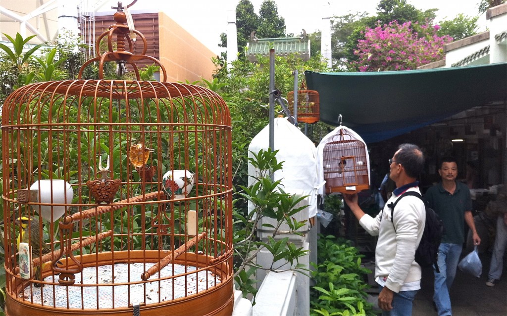 i know why the yuen po bird sings – Michael Nassar