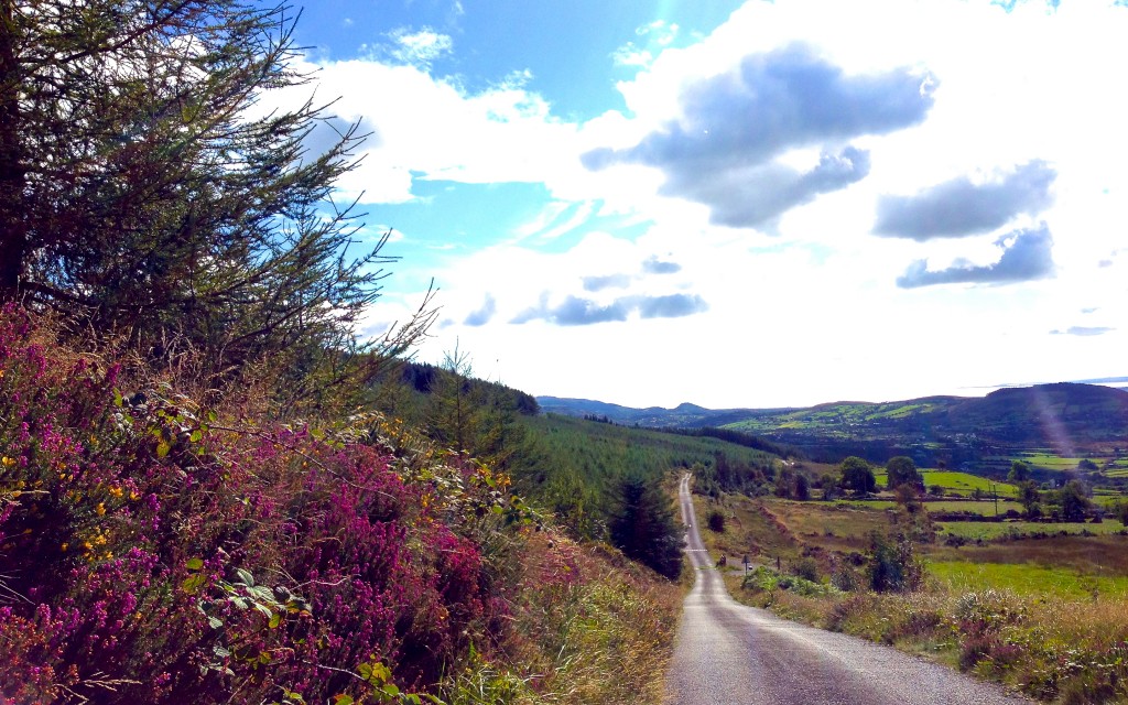 slieve gullion – Michael Nassar